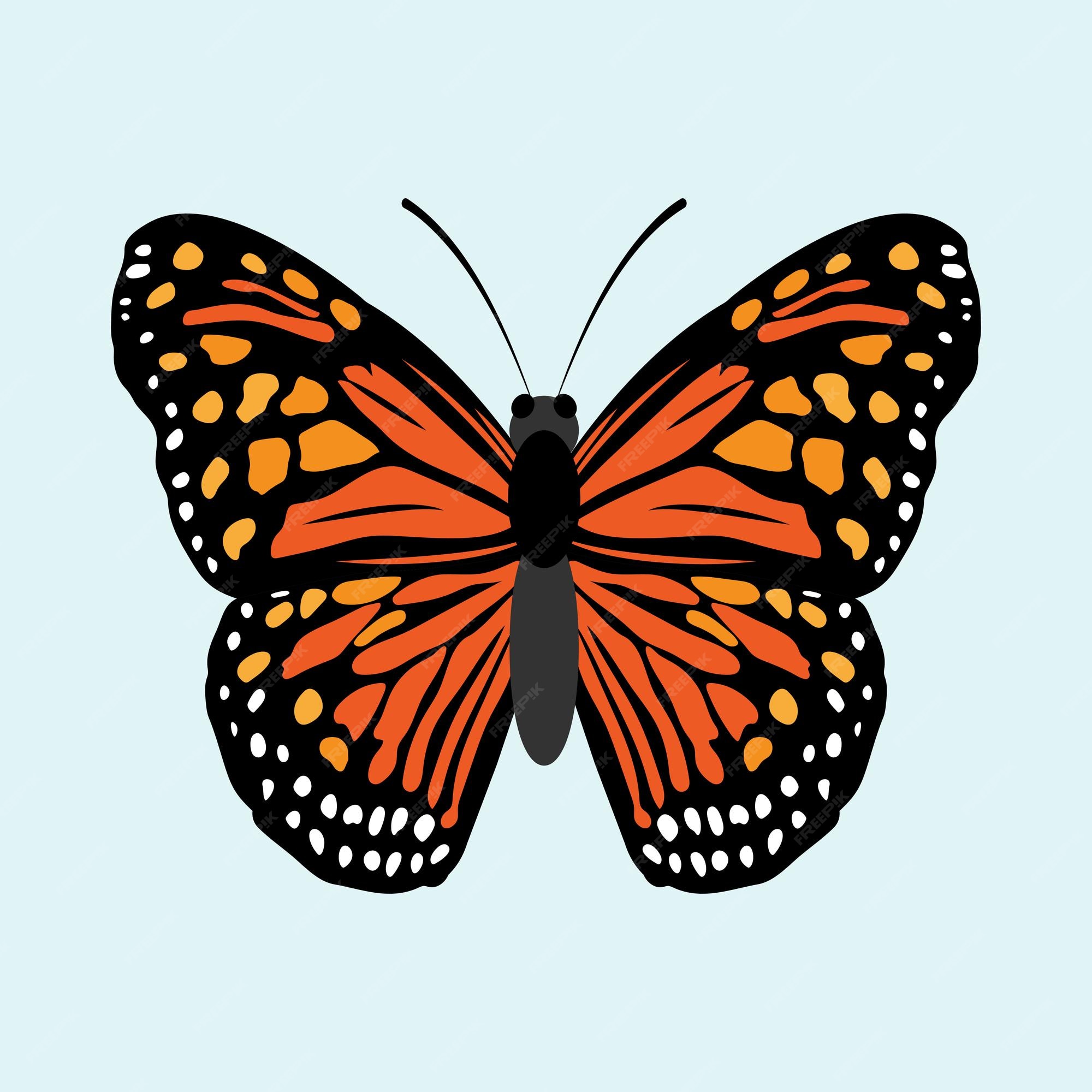 Premium Vector | Monarch butterfly vector Premium Vector | Monarch butterfly vector