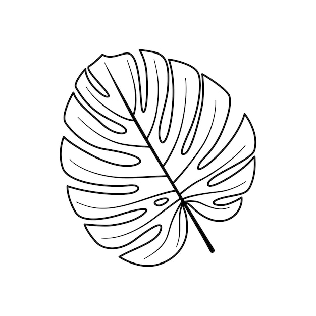 Premium Vector | Monstera leaf tropical line art isolated illustration ... Premium Vector | Monstera leaf tropical line art isolated illustration ...