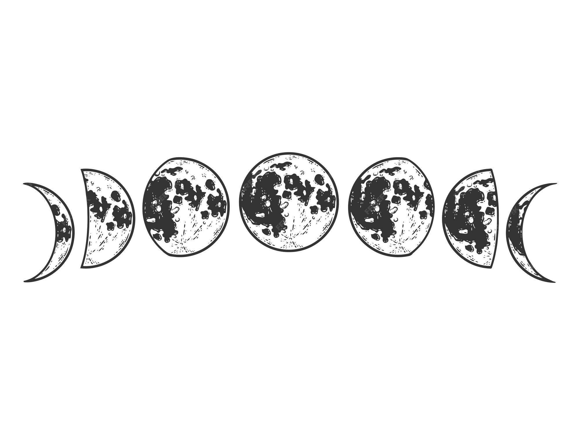 Premium Vector Moon Phases Sketch Scratch Board Imitation Coloring Engraving