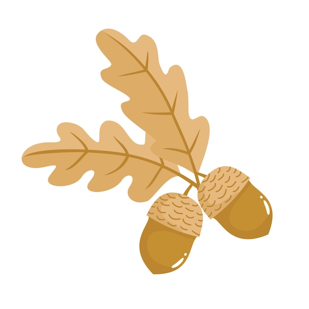 Premium Vector | Oak acorn leaf Premium Vector | Oak acorn leaf