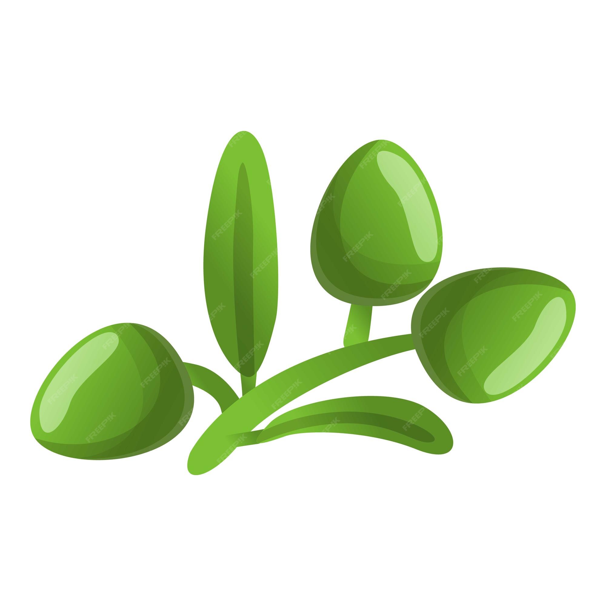 Premium Vector | Olive branch icon cartoon of olive branch vector icon ... Premium Vector | Olive branch icon cartoon of olive branch vector icon ...