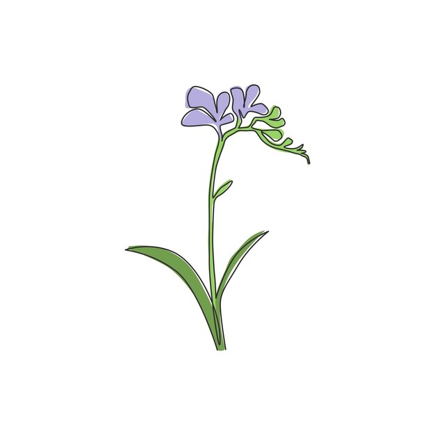 Premium Vector One Continuous Line Drawing Freesia Wall Decor Art