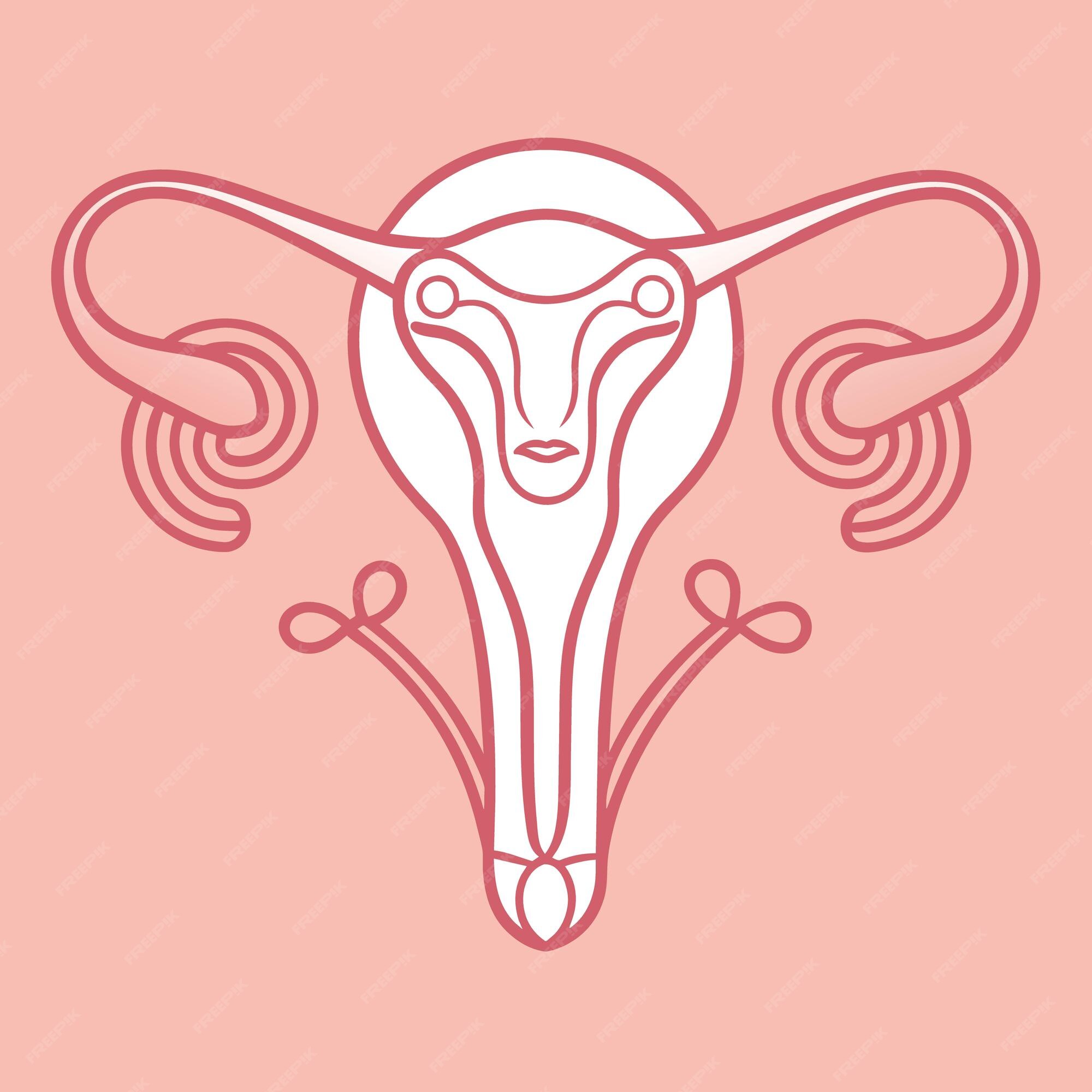 Premium Vector One Continuous Line Drawing Of Woman Uterus