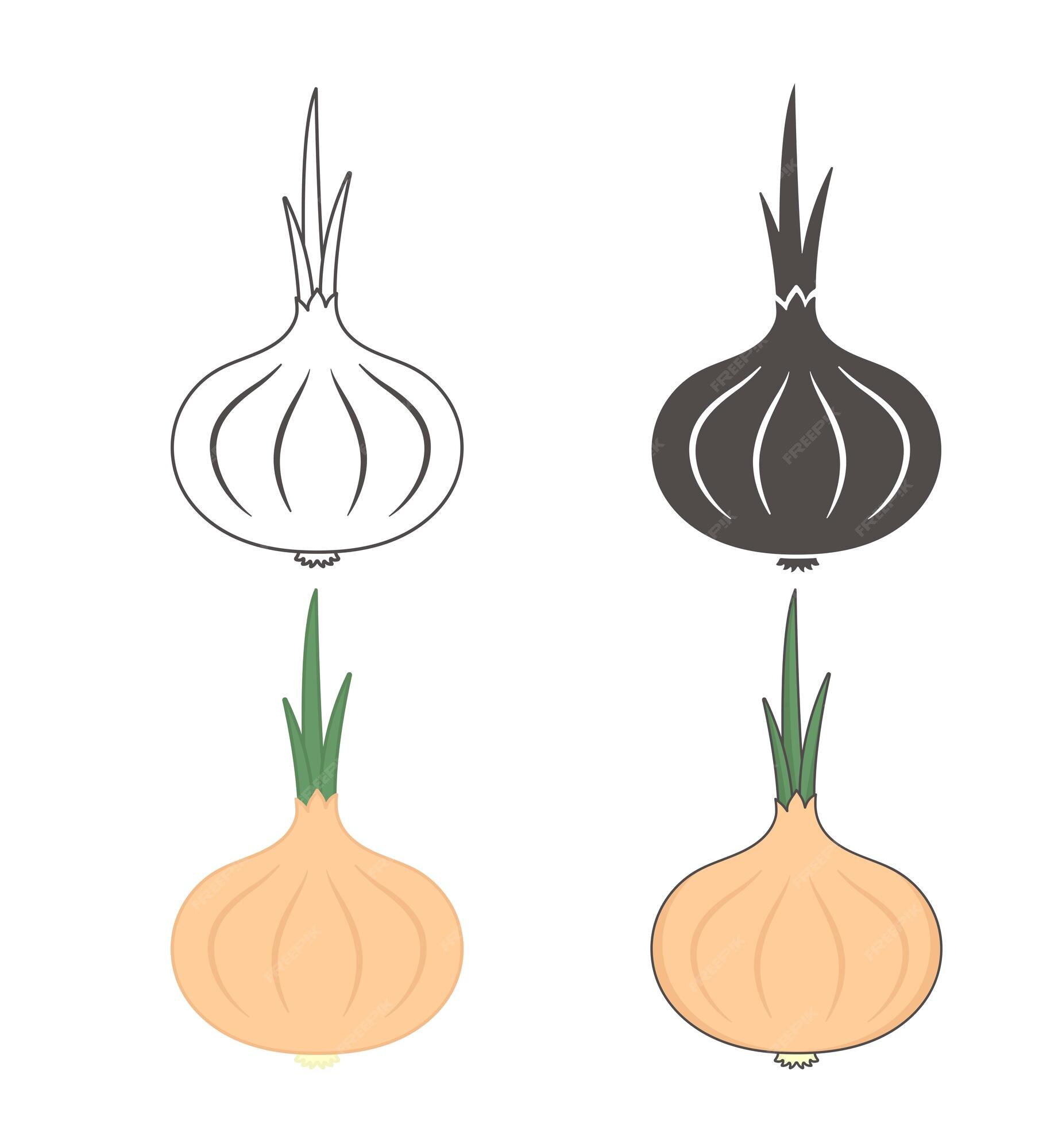 Premium Vector | Onion line icons. flat vector illustration. Premium Vector | Onion line icons. flat vector illustration.