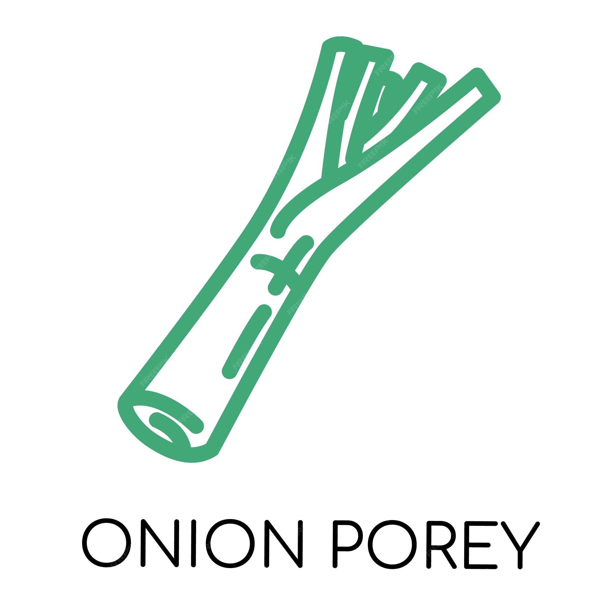 Premium Vector | Onion porey fat line vegetable icon vector illustration Premium Vector | Onion porey fat line vegetable icon vector illustration