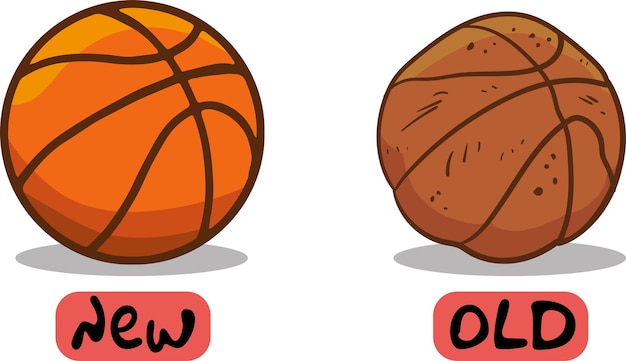 Premium Vector | Opposite words for new and old cartoon vector Premium Vector | Opposite words for new and old cartoon vector