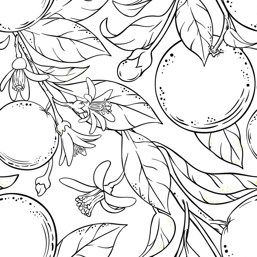 Premium Vector | Orange seamless pattern Premium Vector | Orange seamless pattern