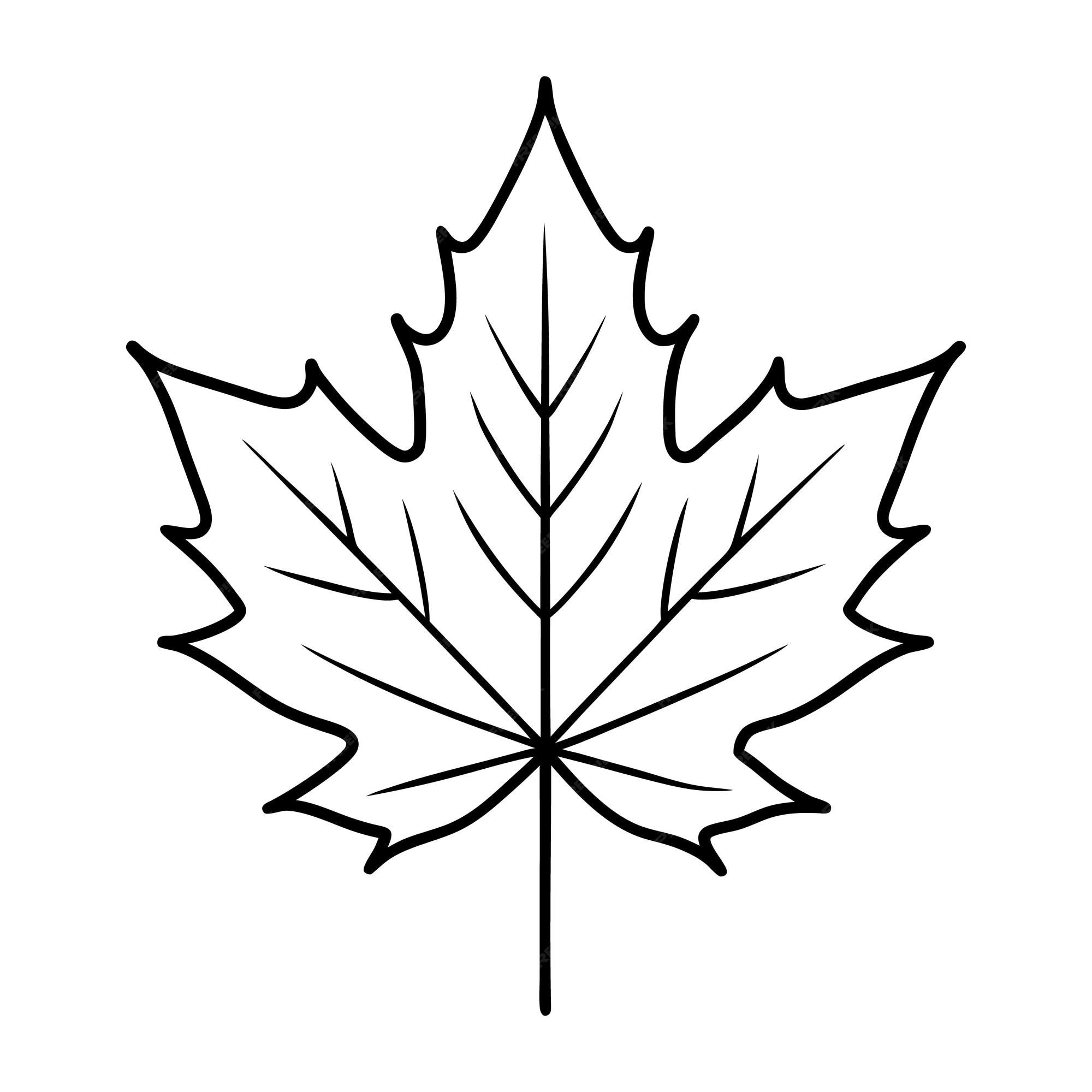 A Outline Of Maple Leaves Clip Art Vector Design On White Background Premium Ai Generated Vector