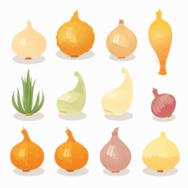 Premium Vector | A pack of handdrawn onion vector illustrations Premium Vector | A pack of handdrawn onion vector illustrations