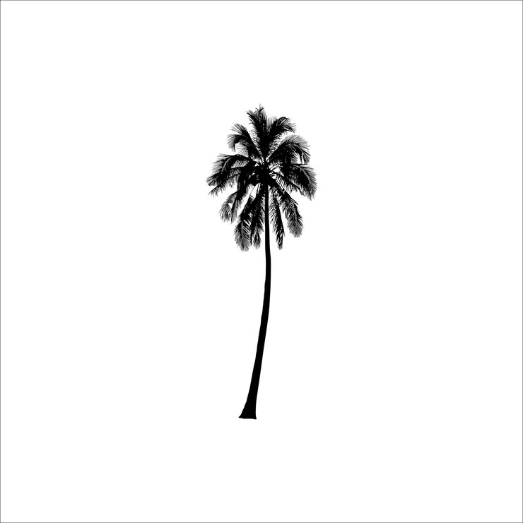 Premium Vector | Palm tree detailed silhouette. coconut tree vector ... Premium Vector | Palm tree detailed silhouette. coconut tree vector ...