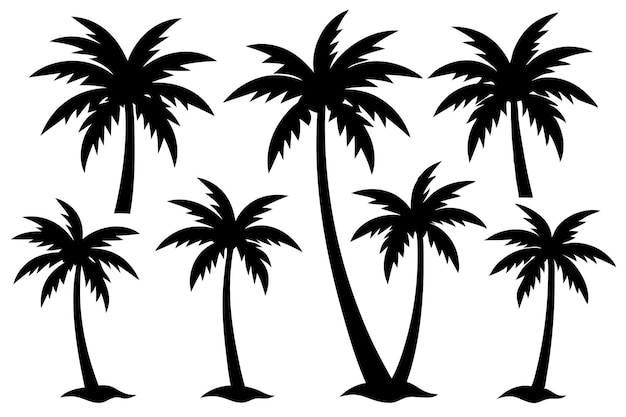 Premium Vector | Palm tree Silhouette vector set Premium Vector | Palm tree Silhouette vector set