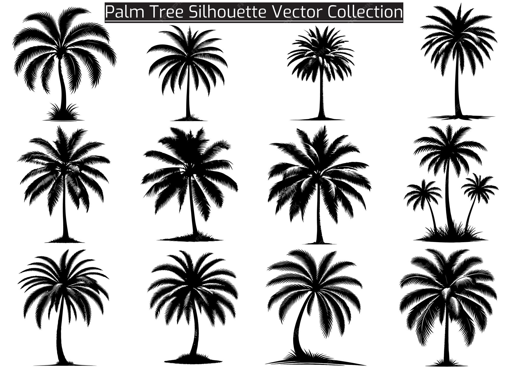 Premium Vector | Palm Tree Silhouette Vector Premium Vector | Palm Tree Silhouette Vector