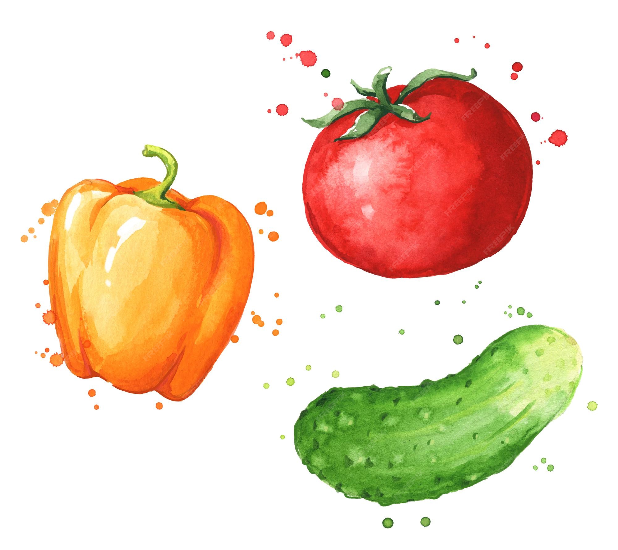 Premium Vector | Paprica pepper, tomato and cucumber watercolor ... Premium Vector | Paprica pepper, tomato and cucumber watercolor ...