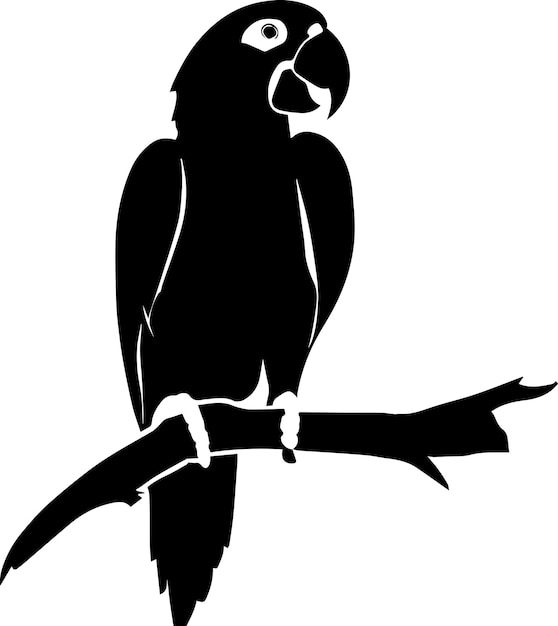 Premium Vector | Parrot vector silhouette illustration 31 Premium Vector | Parrot vector silhouette illustration 31