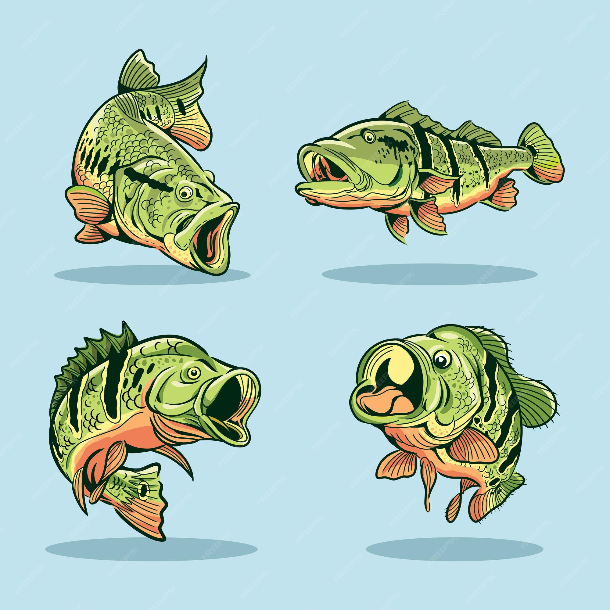 Premium Vector Peacock Bass Vector Set Collection
