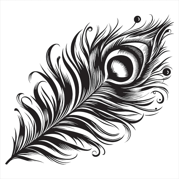 Peacock Feather Black And White Peacock Feather Feather Tattoo Design Feather Tattoo Premium