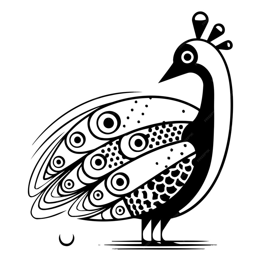 Premium Vector Peacock Vector Illustration Isolated Peacock On White