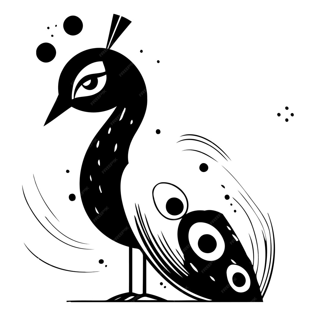 Premium Vector Peacock Vector Illustration Isolated On White Background