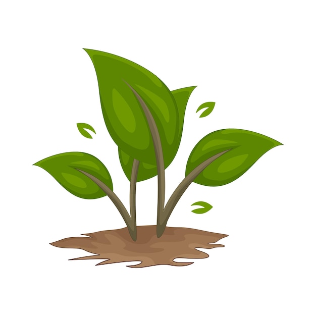 Premium Vector | Plant Premium Vector | Plant