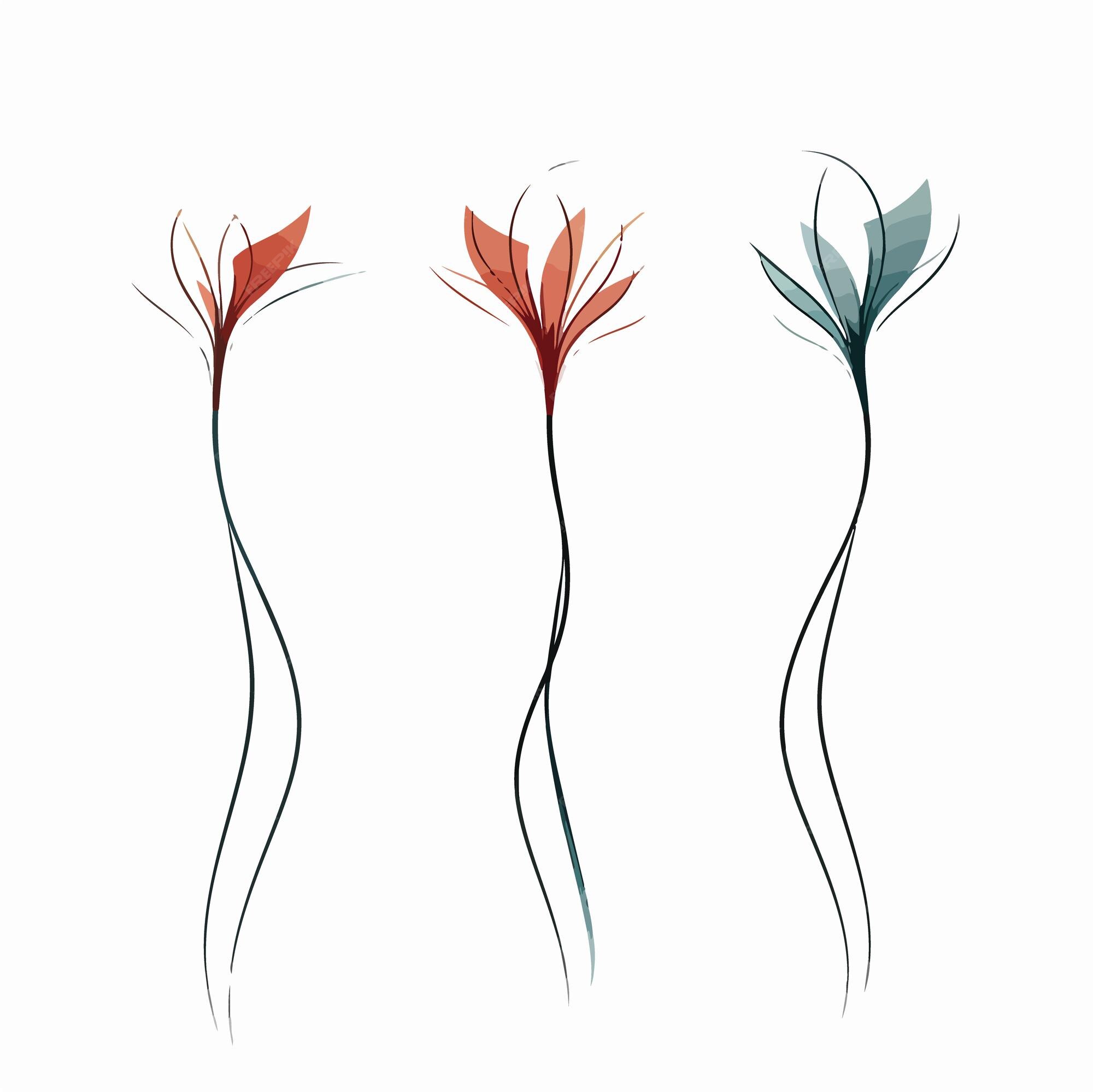 Premium Vector Popy Illustration With An Outline Style In Vector Format