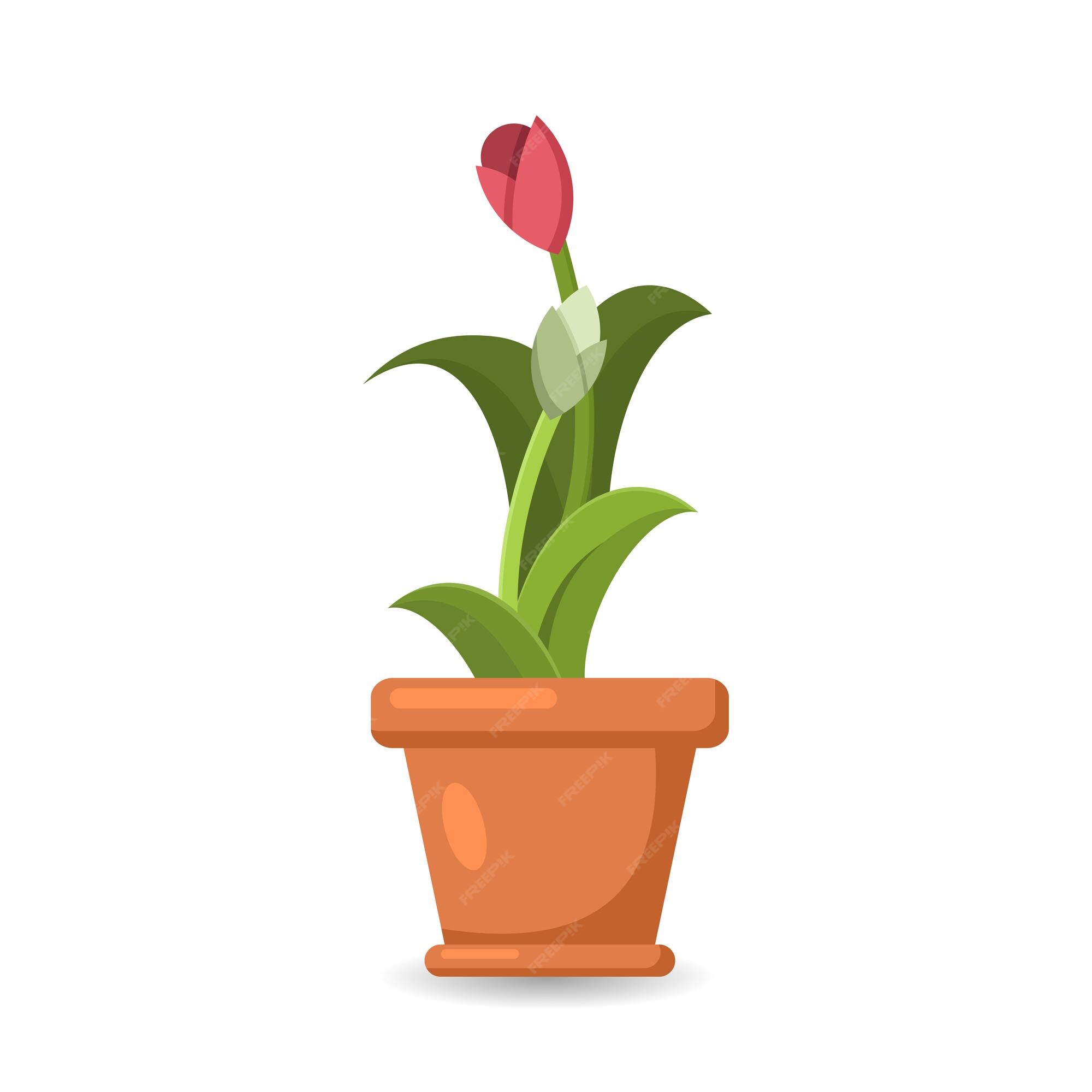 Premium Vector Potted Plant Botanical Design Illustration
