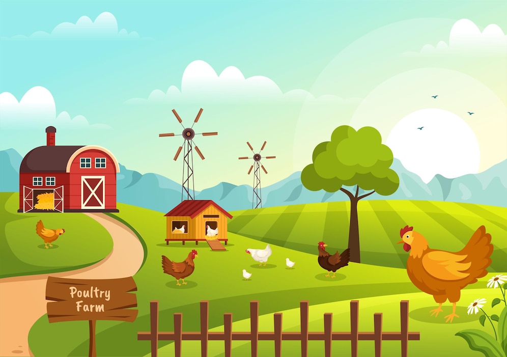 Premium Vector Poultry Farming With Chicken And Egg Farm On Green