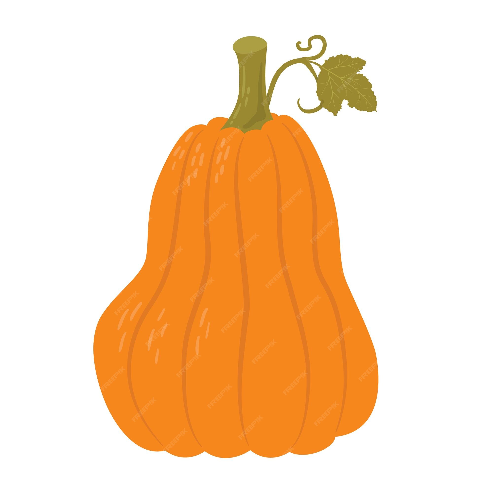 Premium Vector | Pumpkin season hand draw vector illustration Premium Vector | Pumpkin season hand draw vector illustration