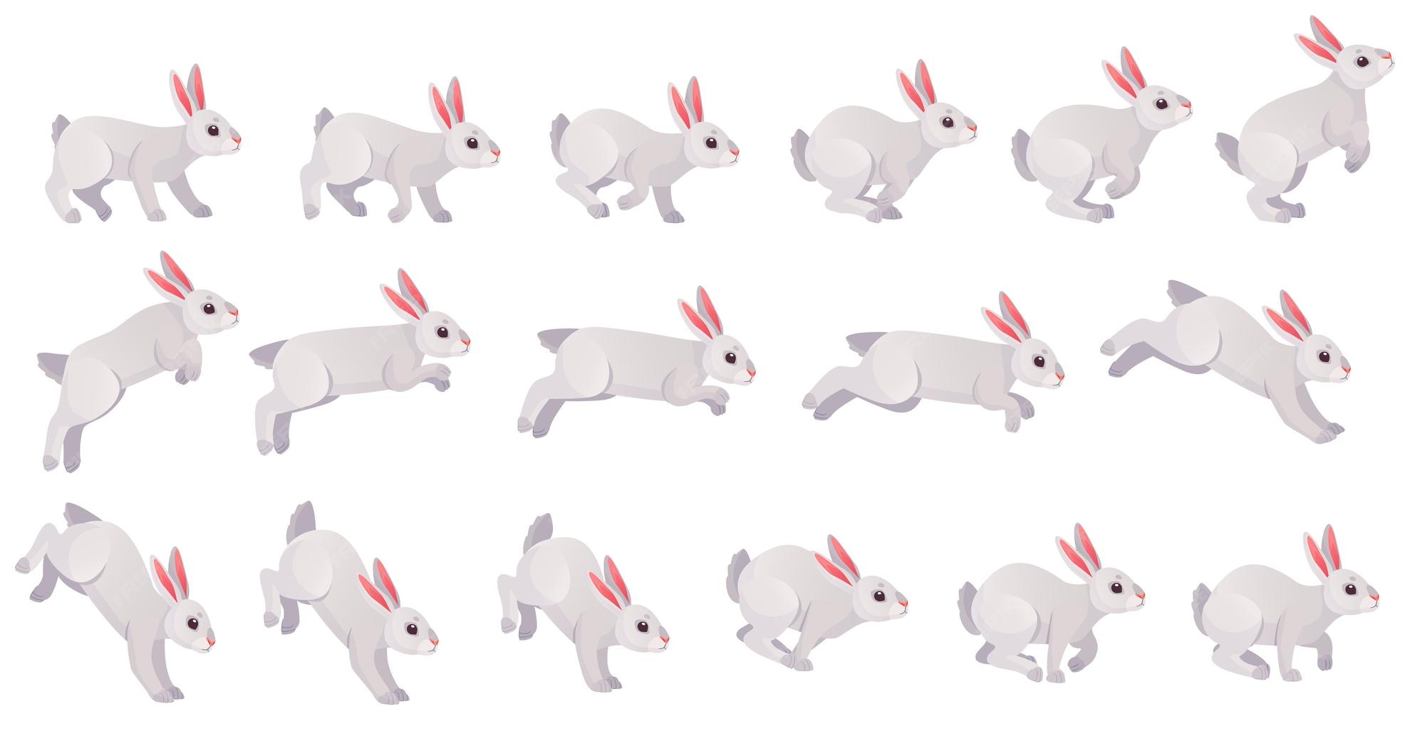 Premium Vector | Rabbit animation Bunny jump or animated running motion cycle for 2d game speed ...