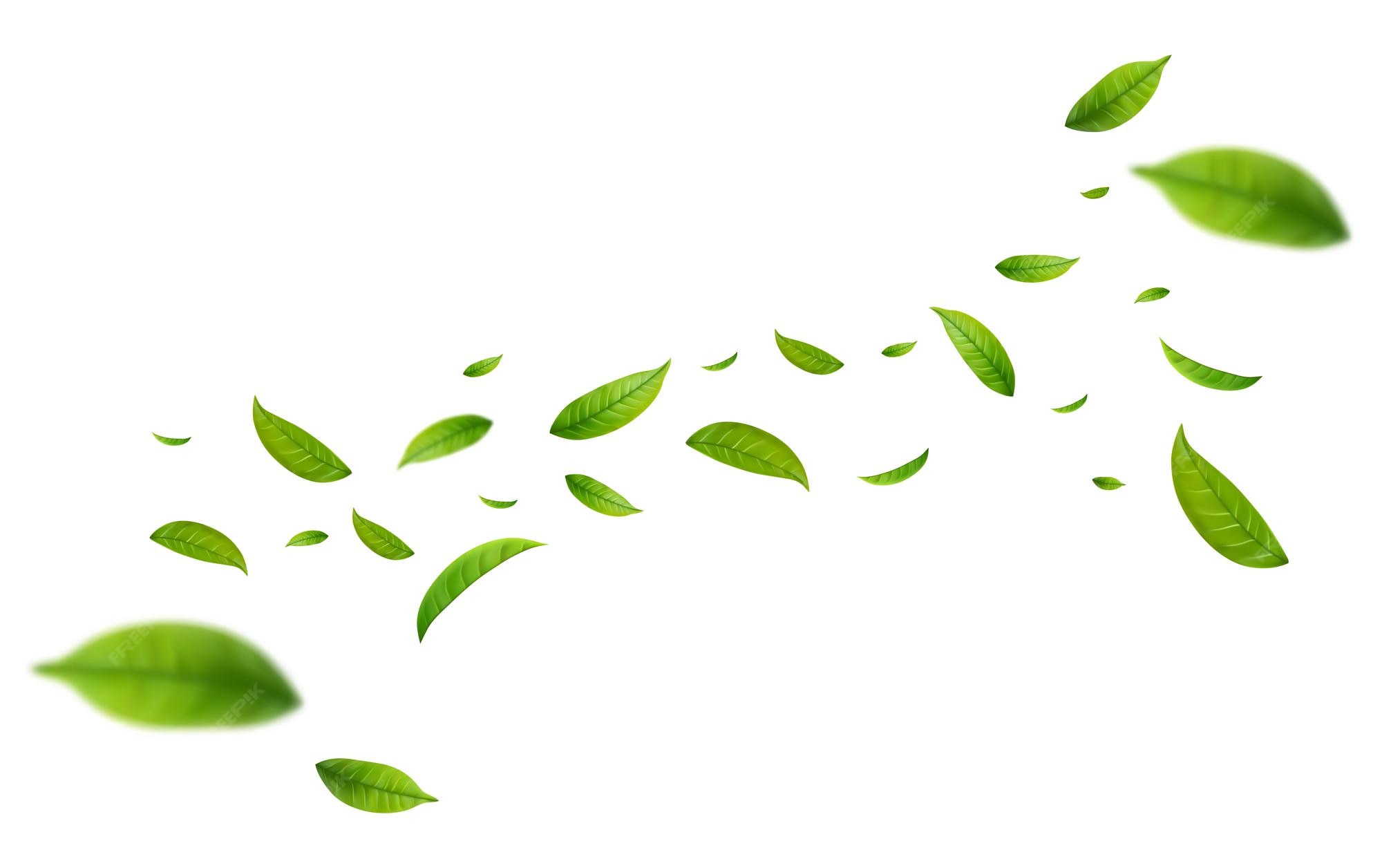Premium Vector Realistic Green Tea Leaves In Motion On A White