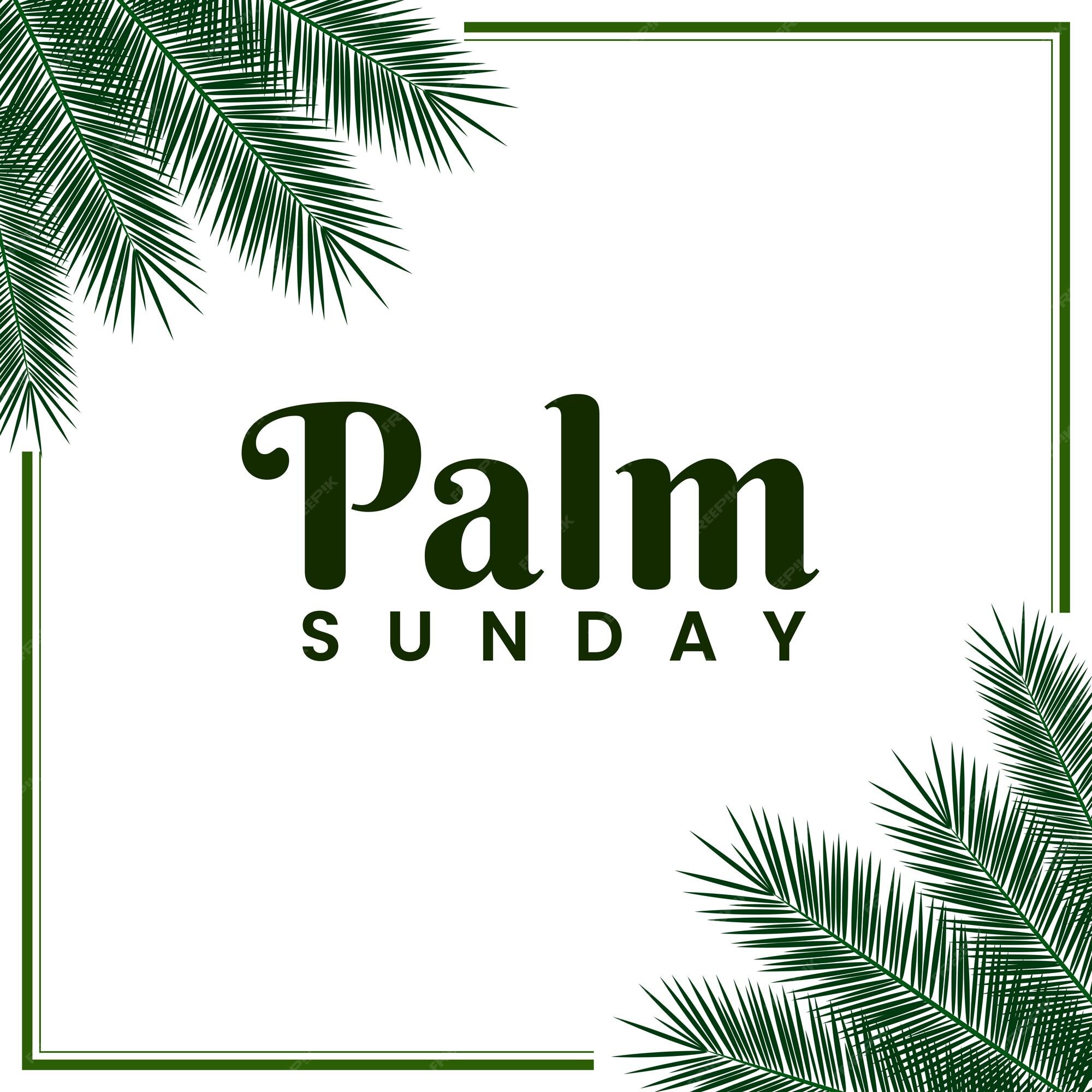 Premium Vector | Realistic Palm Leaves Frame for Palm Sunday Image Premium Vector | Realistic Palm Leaves Frame for Palm Sunday Image