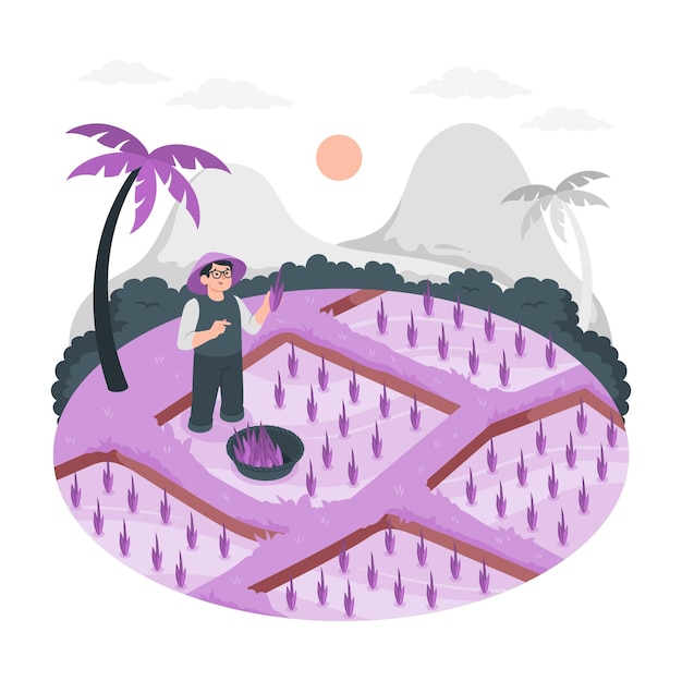 Premium Vector | Rice field vector Premium Vector | Rice field vector