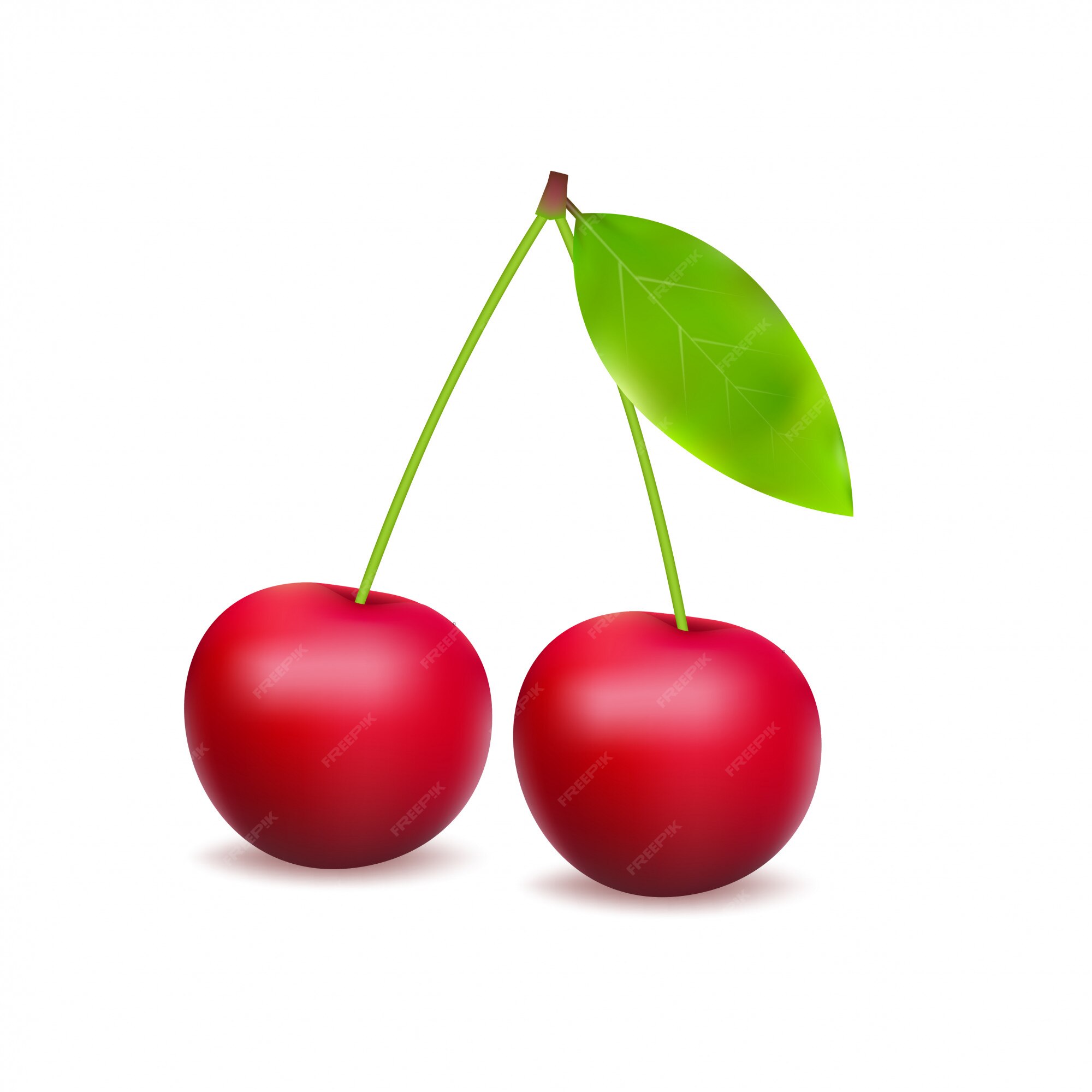 Premium Vector Ripe Red Cherry Berries With Leaves Illustration
