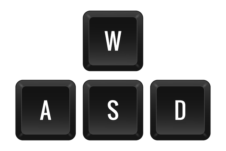 Premium Vector | A s w d keys combination keyboard walk navigation ...