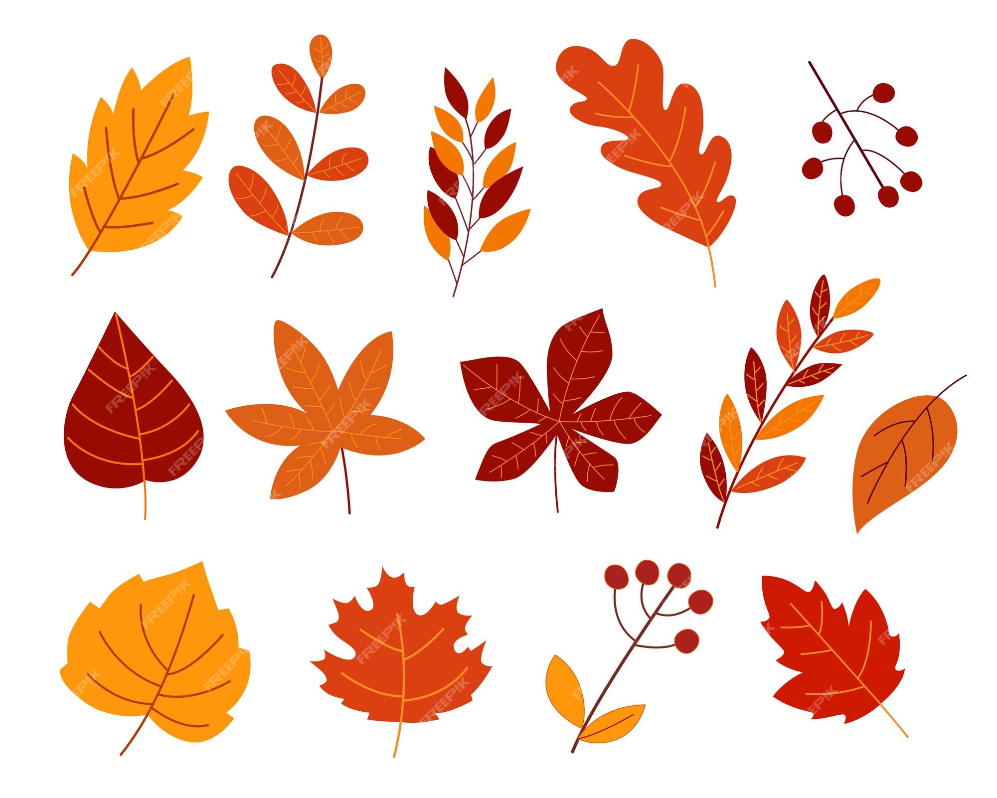Premium Vector Set Of Colorful Autumn Leaves Vector Illustration Set