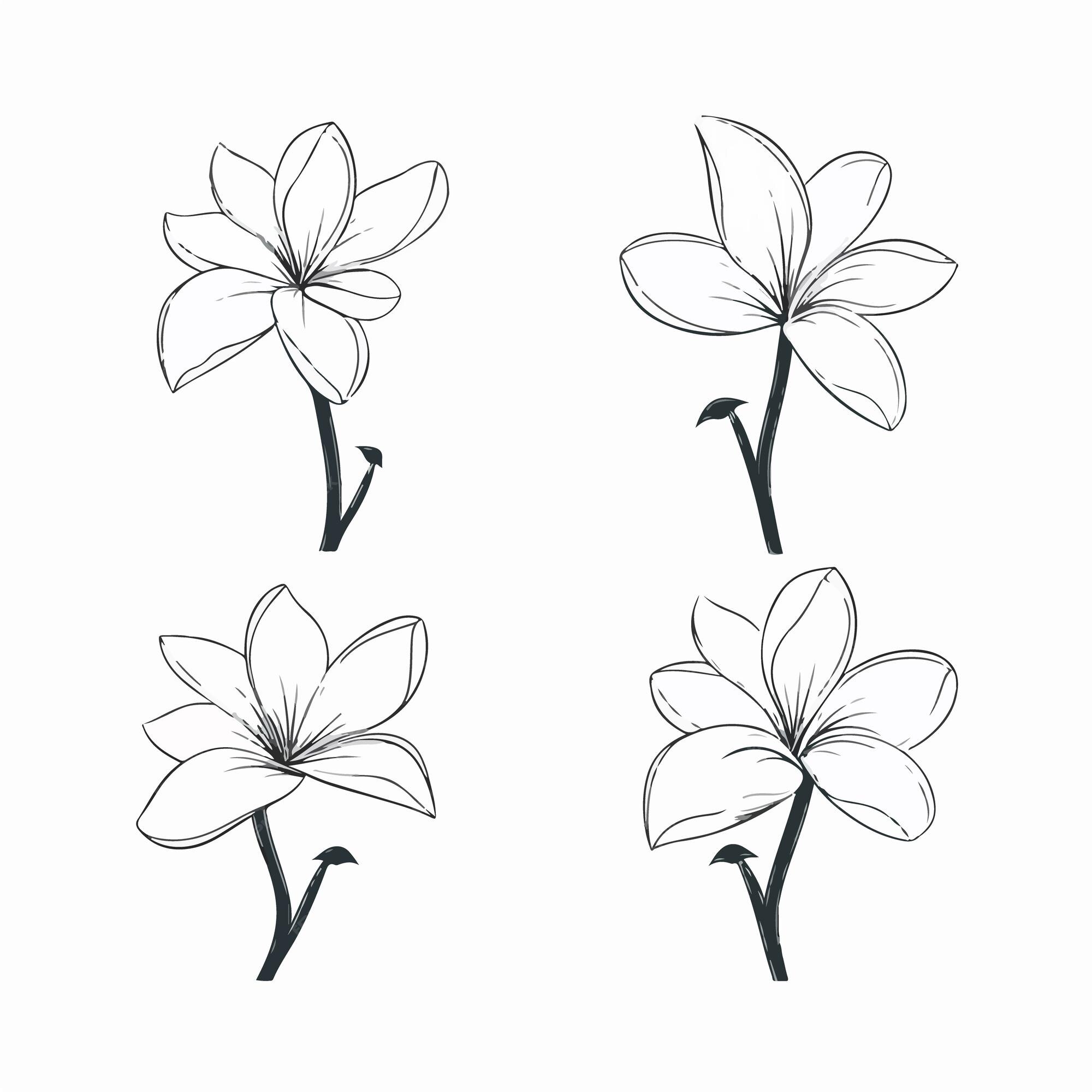Premium Vector | Set of colorful plumeria vector art Premium Vector | Set of colorful plumeria vector art