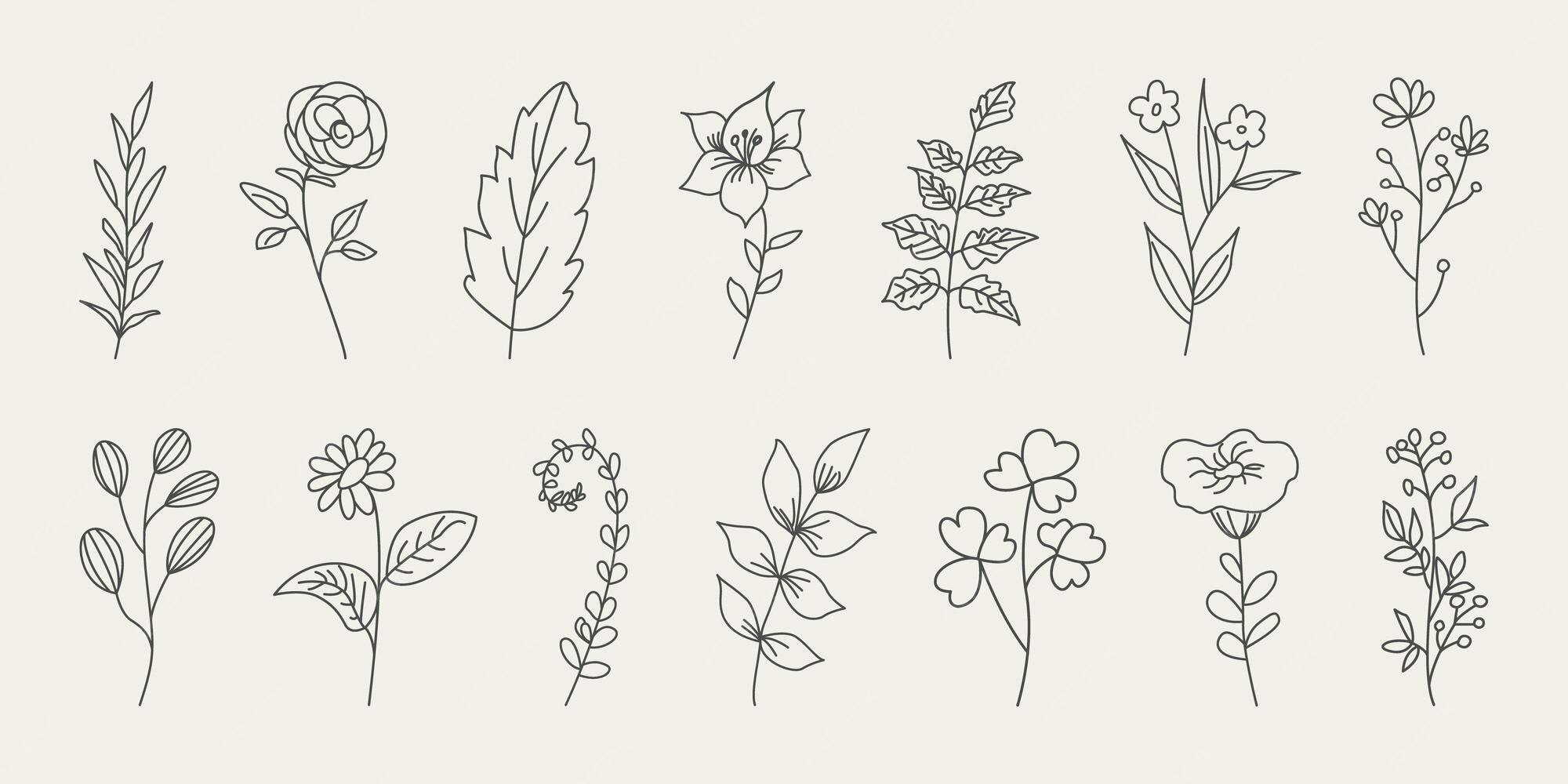Premium Vector | Set of floral botanical doodle hand drawn botanical ... Premium Vector | Set of floral botanical doodle hand drawn botanical ...
