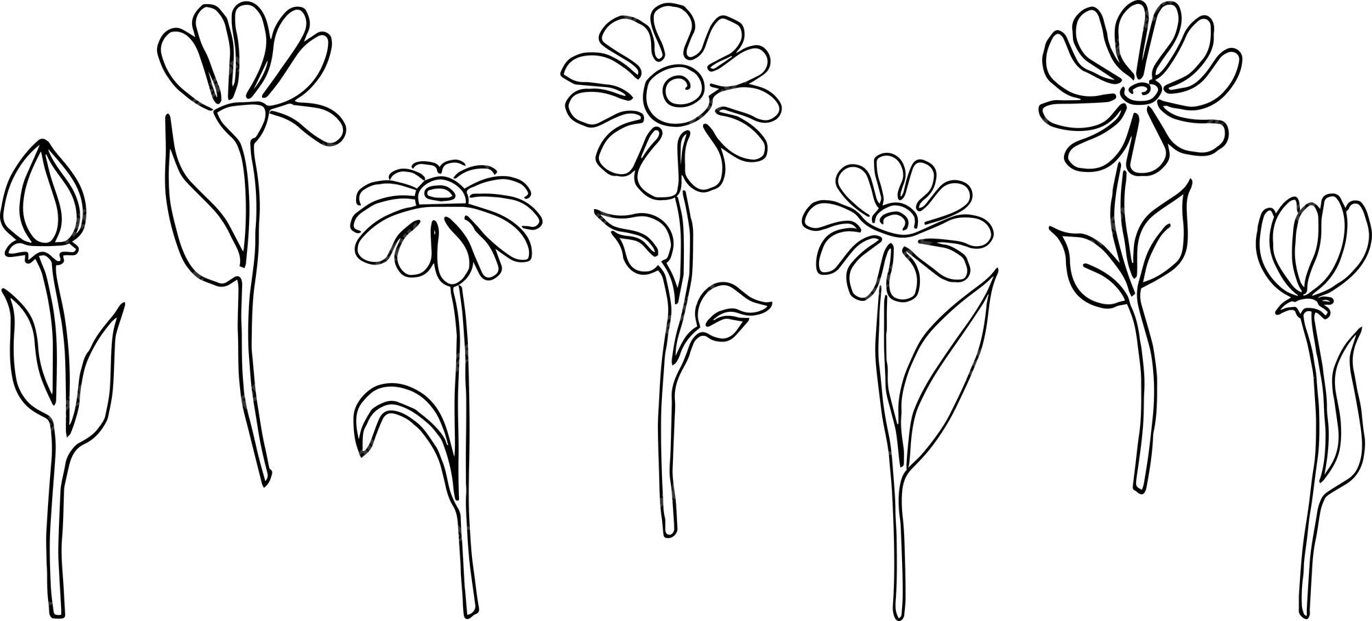 Premium Vector | Set Flowers Premium Vector | Set Flowers