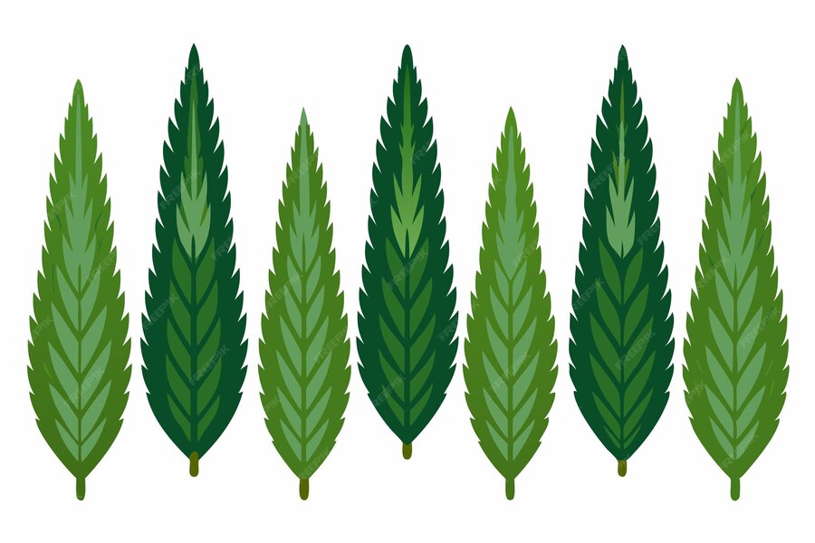 Premium Vector | A set of green palm trees with green leaves on a white ... Premium Vector | A set of green palm trees with green leaves on a white ...