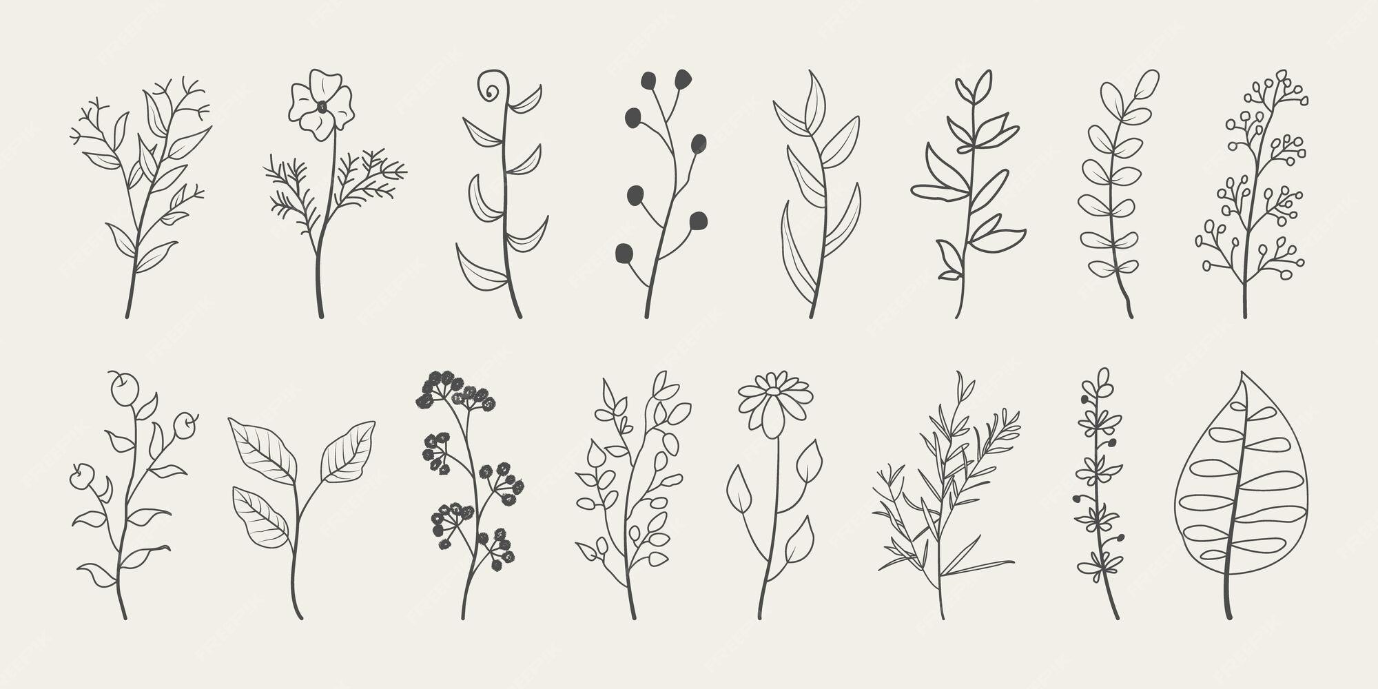 Premium Vector | Set of minimal leaves Hand drawn botanical decorative ... Premium Vector | Set of minimal leaves Hand drawn botanical decorative ...