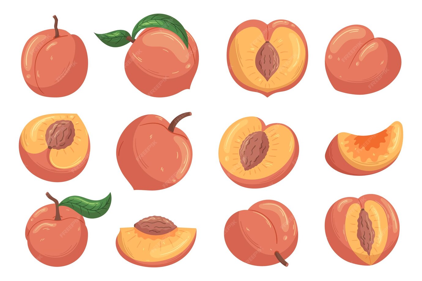 Premium Vector Set Of Peach Fruits Sweet Juicy And Bursting With Flavor Ripe Fruits Whole