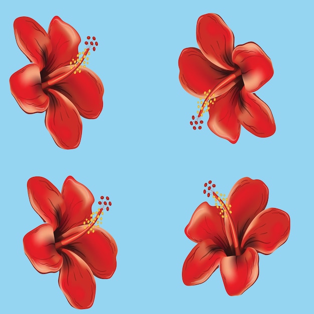 Premium Vector Set Of Red Hibiscus Flower Isolated