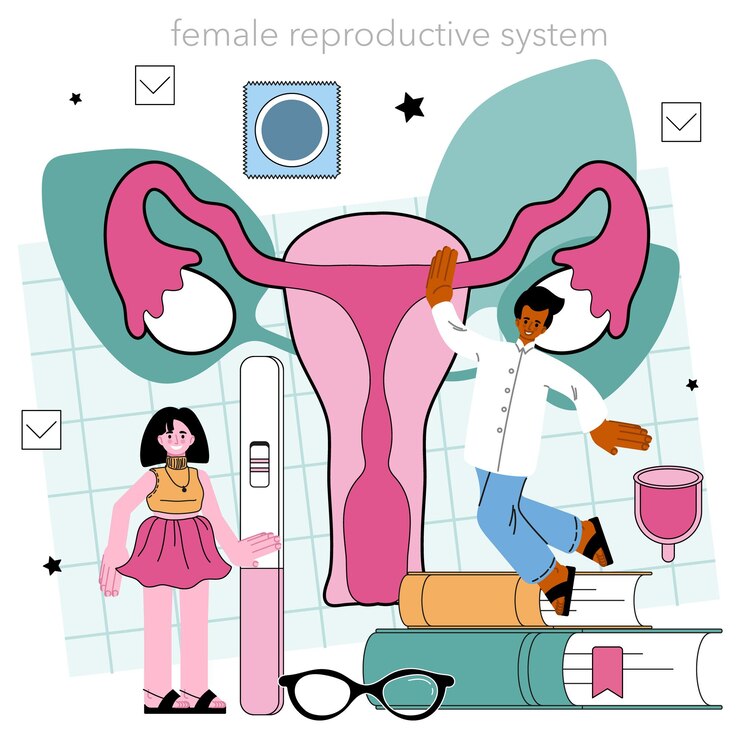 Premium Vector Sexual Education Concept Sexual Health Lesson For