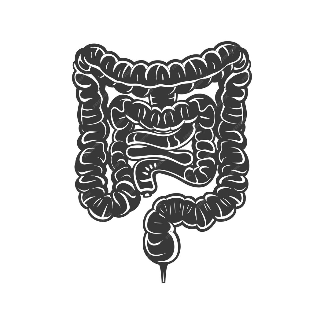 Premium Vector Silhouette Human Small Intestine Black Color Only