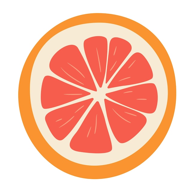 Premium Vector | Simple doodle grapefruit on white vector illustration Premium Vector | Simple doodle grapefruit on white vector illustration