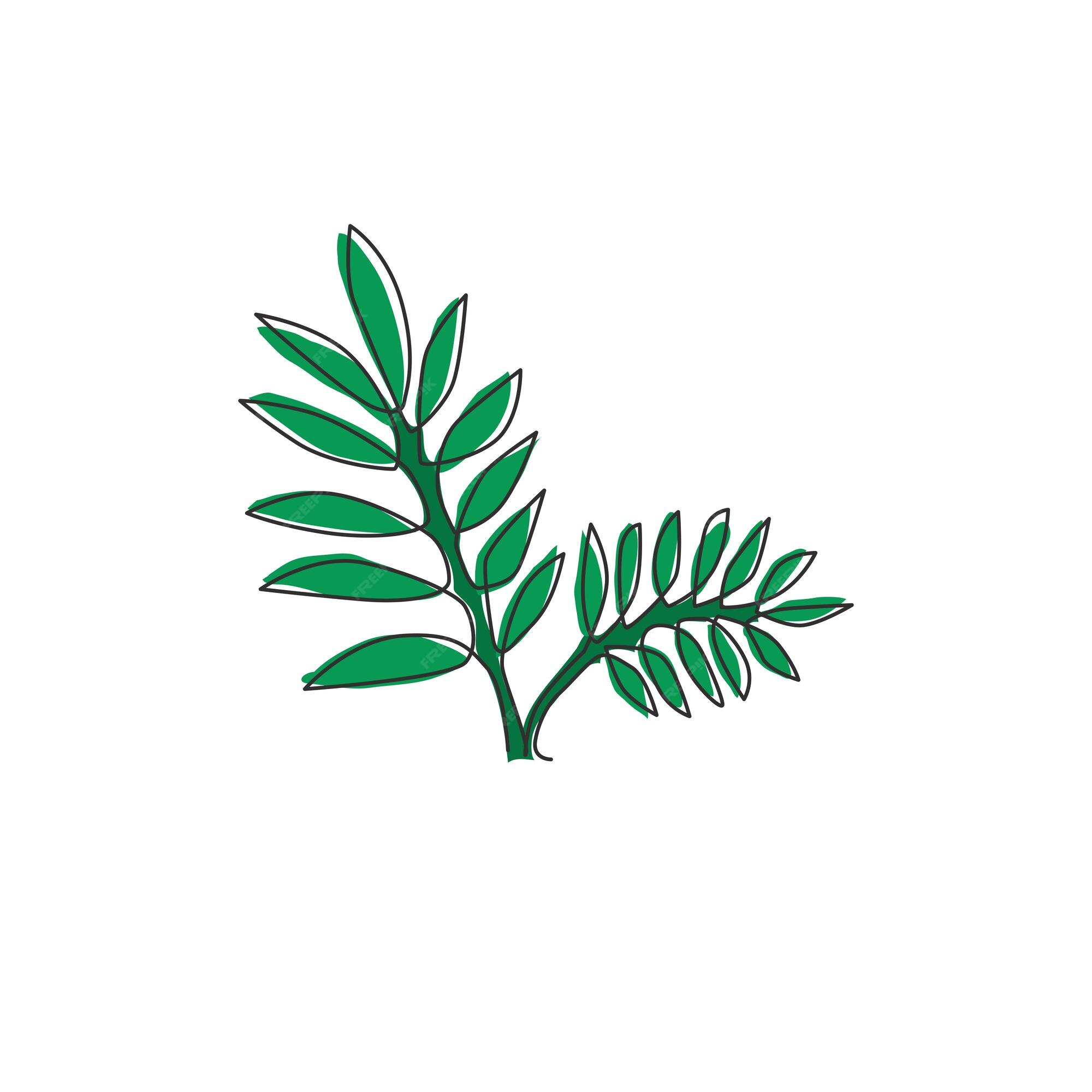 Premium Vector | Single continuous line drawing of tropical leaves ... Premium Vector | Single continuous line drawing of tropical leaves ...