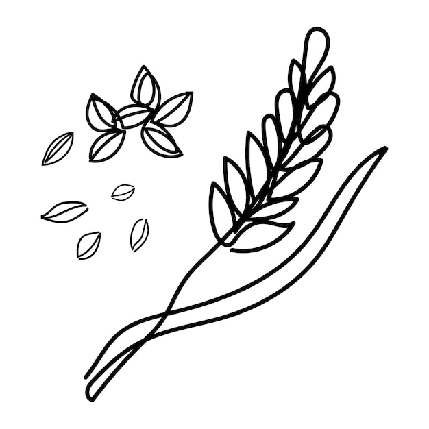 Premium Vector Single Continuous Line Drawing Of Whole Healthy