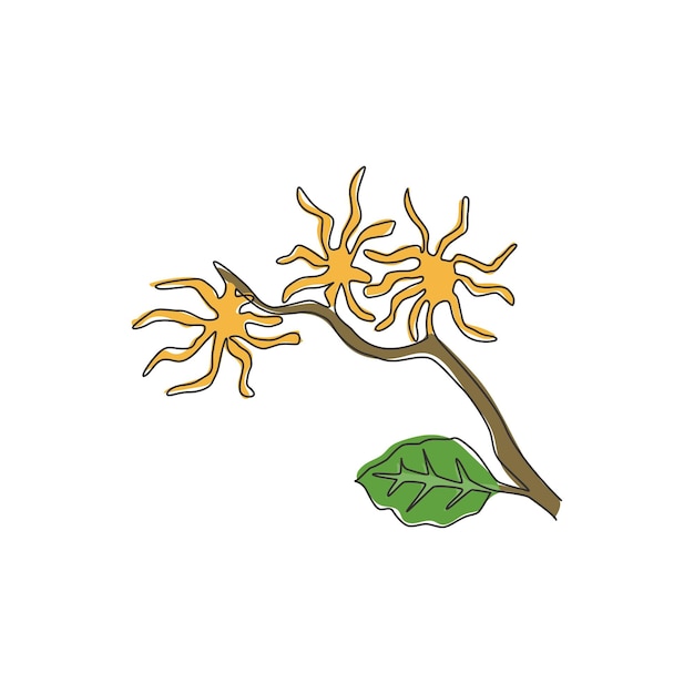 Premium Vector | Single continuous line drawing witch hazels wall art ... Premium Vector | Single continuous line drawing witch hazels wall art ...