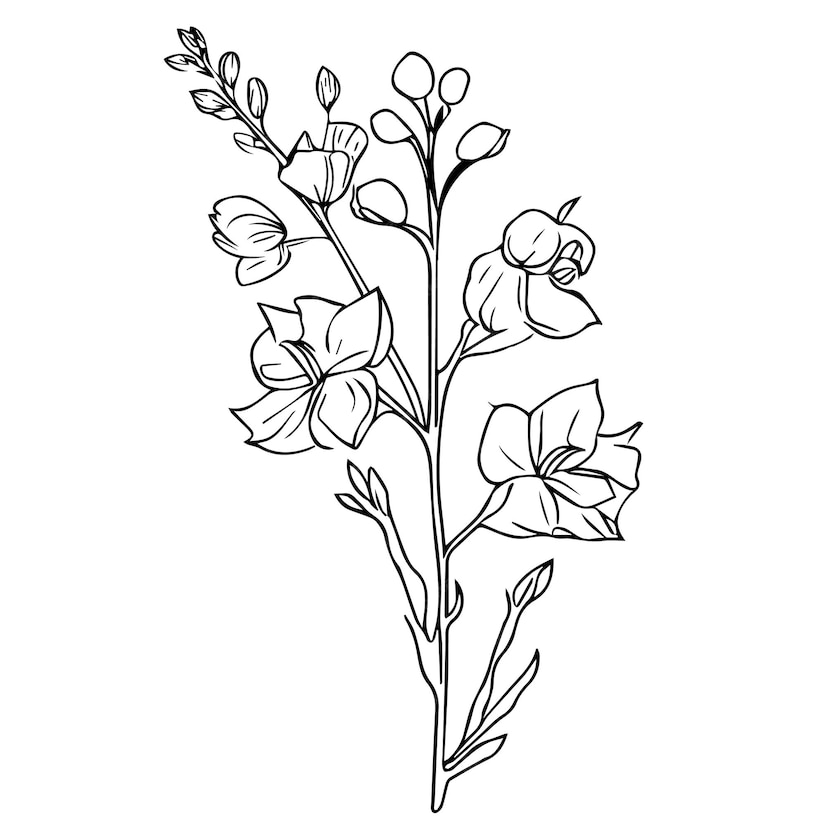 Premium Vector Small Minimalist Larkspur Tattoo Pencil Delphinium