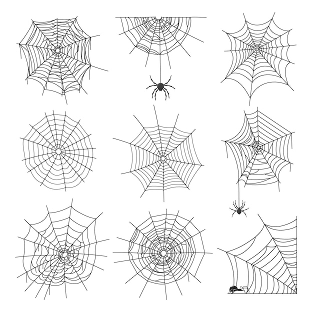 Spinnenwebben halloween grafisch web zwart geïsoleerd spinnenweb en ... Spinnenwebben halloween grafisch web zwart geïsoleerd spinnenweb en ...