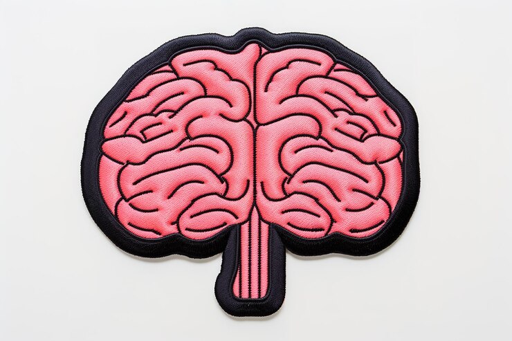 Premium Vector Structure Of Human Brain Section Schematic Raster